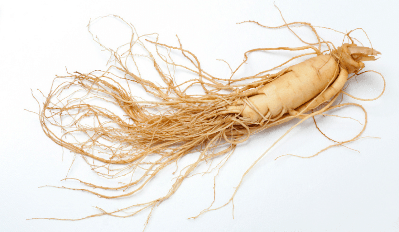 A Complete Guide About Ginseng Benefits And Its Types